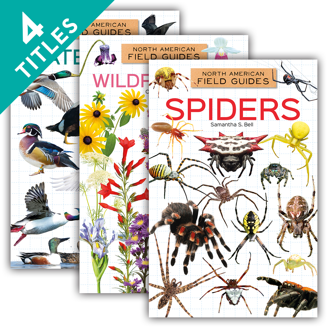 Abdo Reference Online - ABDO Publishing Company